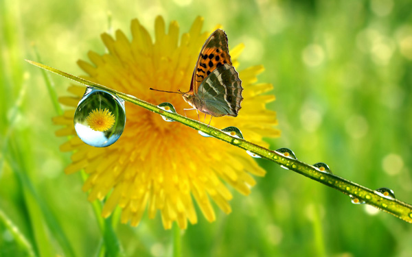 HD And 4K Month wise Calender Wallpapers 2025 | HD Calendar Wallpapers