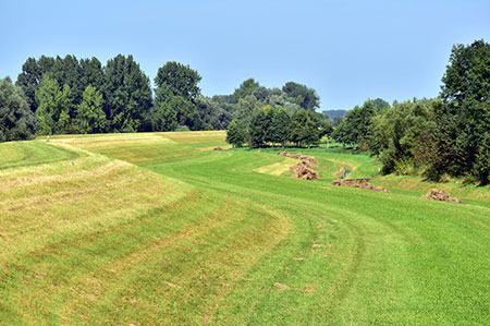 School Projects for Students - Creative projects